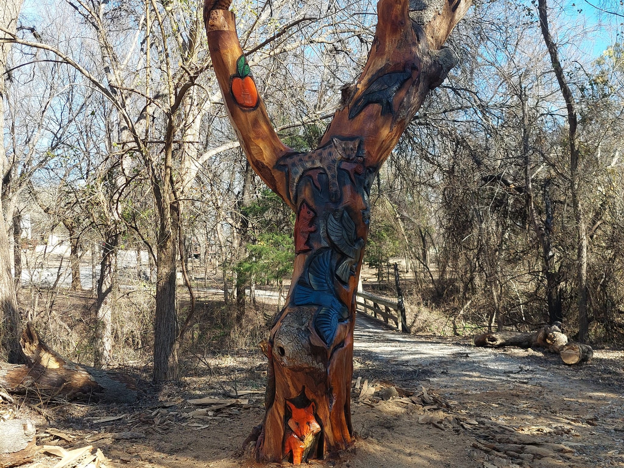 Chainsaw artists turn damaged trees into art in Texas