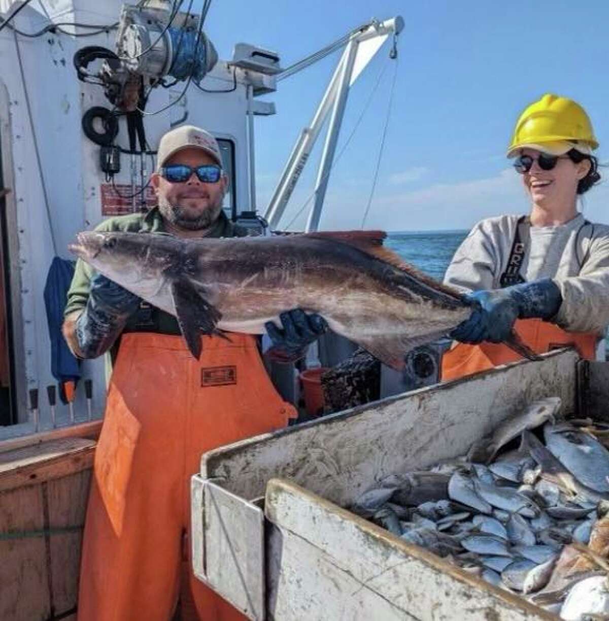 CT crew finds 400-pound stingray in Long Island Sound