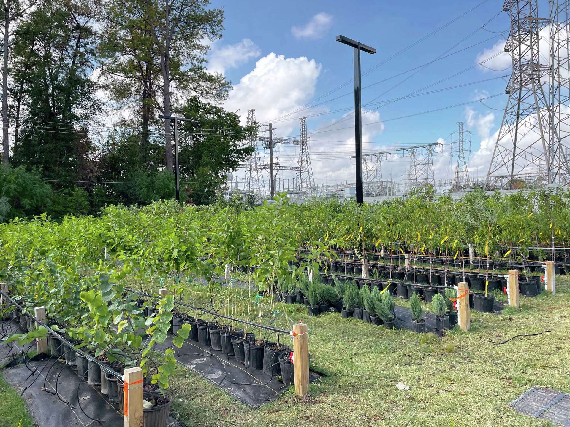 Trees for Houston opens new, $9M campus in Garden Oaks