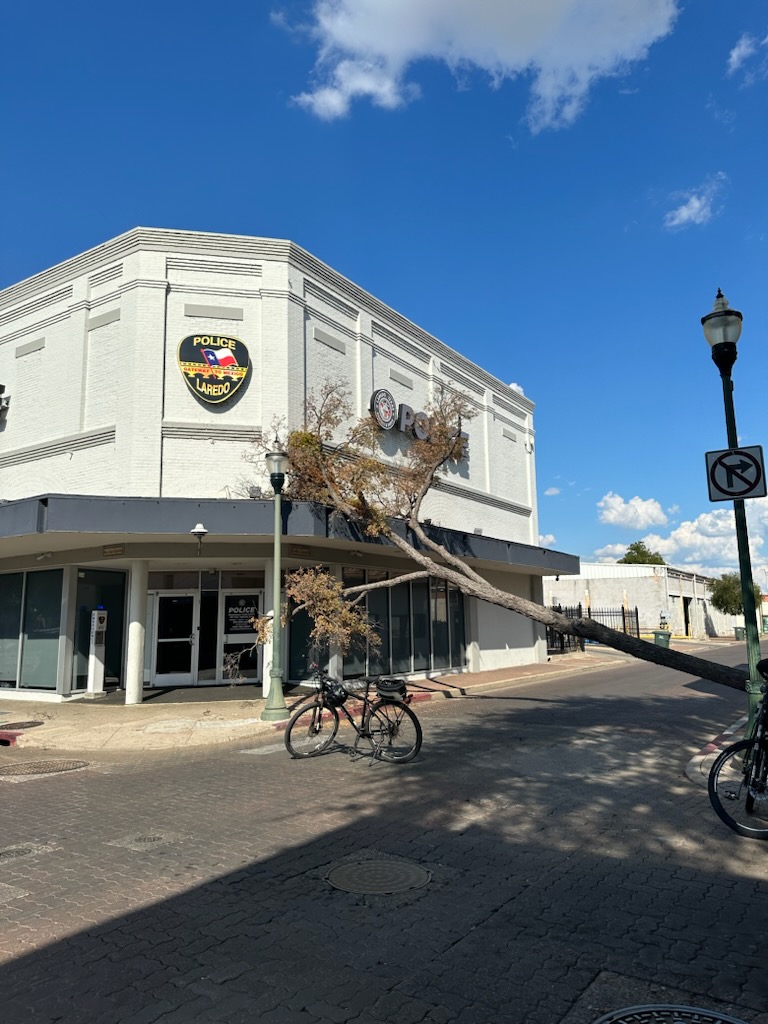 Tree falls onto downtown Laredo Police Department building