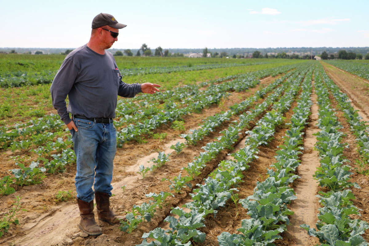 School lunch is getting a federally funded, farm-fresh makeover