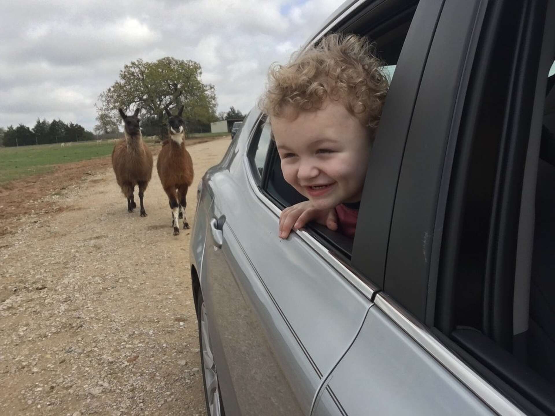 Bryan, Texas: Top things to do and see in the charming city