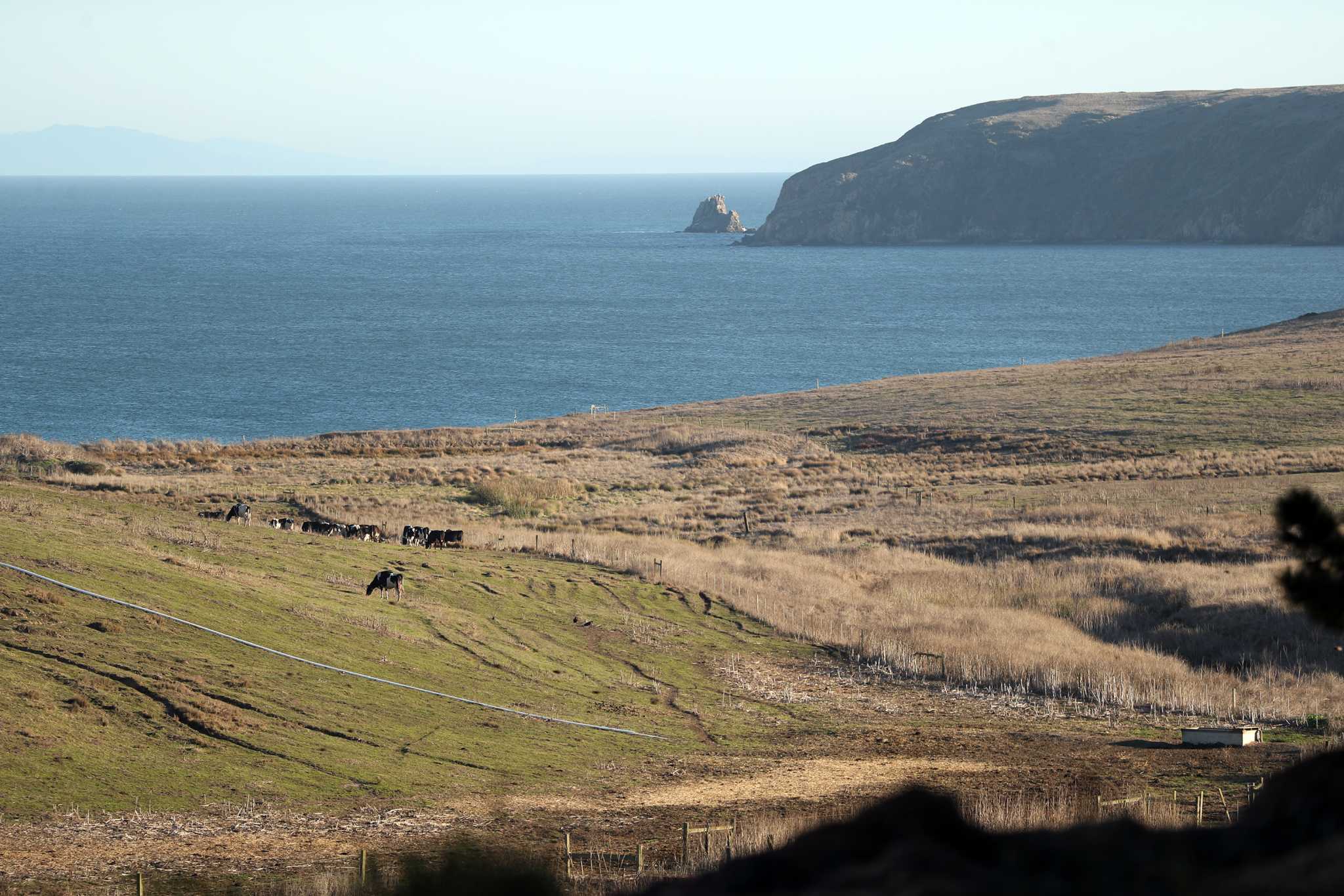 Reported California shark attack: Coast Guard ends victim search