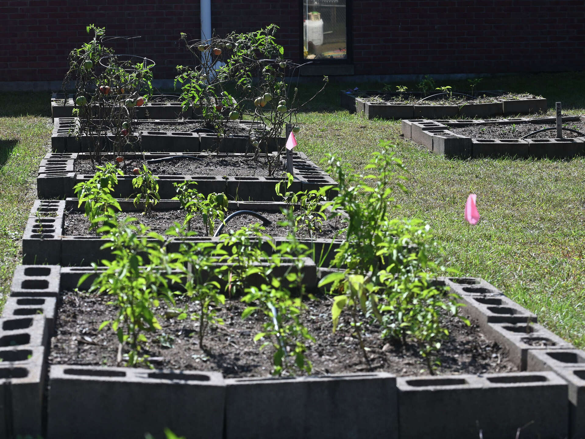 CT awards $837,900 in grants to 21 farm-to-school projects