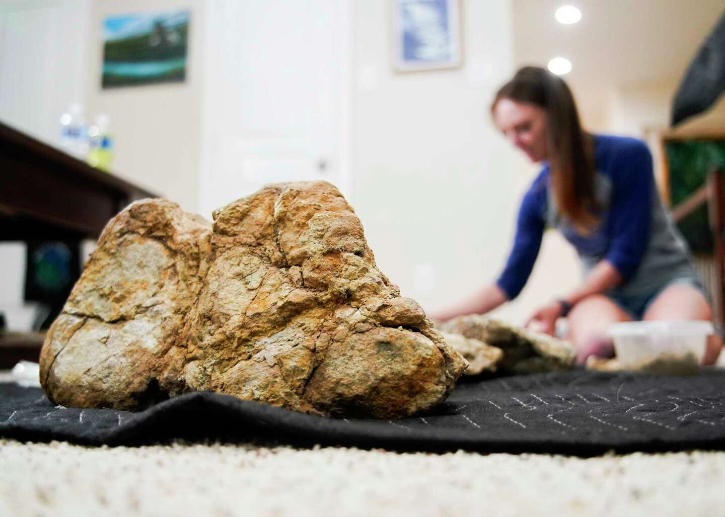 Kingwood woman's dinosaur fossil restoration hobby turns to career