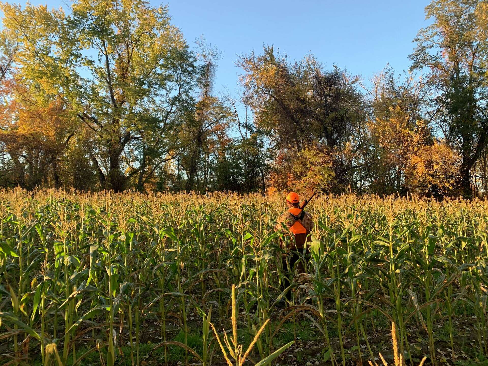 DEEP announces dates for Connecticut's fall hunting season