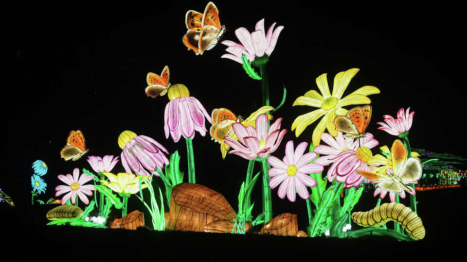 'Radiant Nature' celebrates Lunar New Year at Houston Botanic Garden