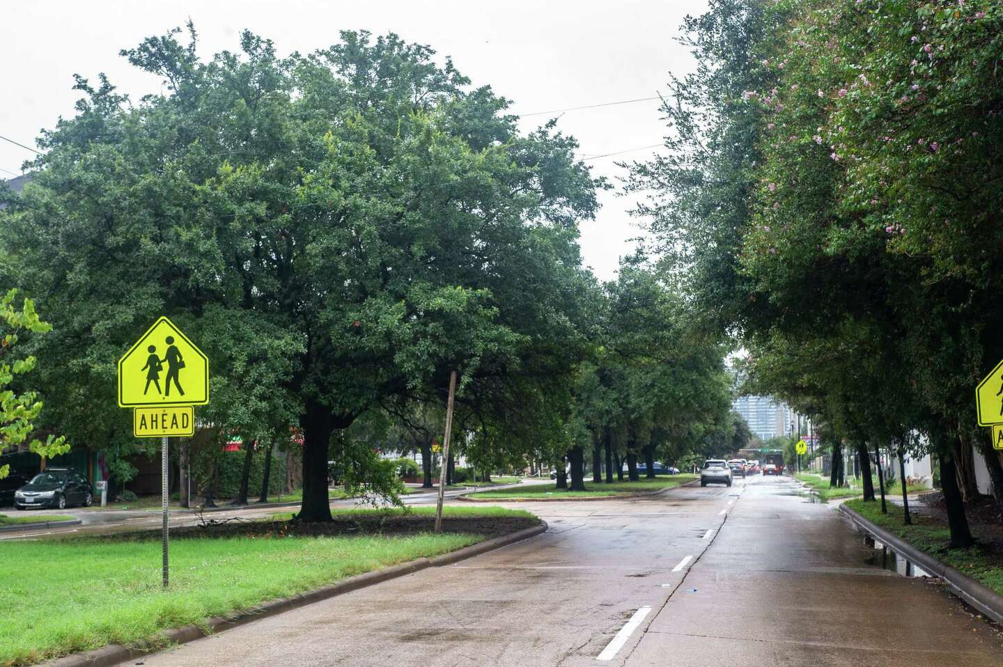 Whitmire plan to overhaul Montrose Blvd project hits roadblock
