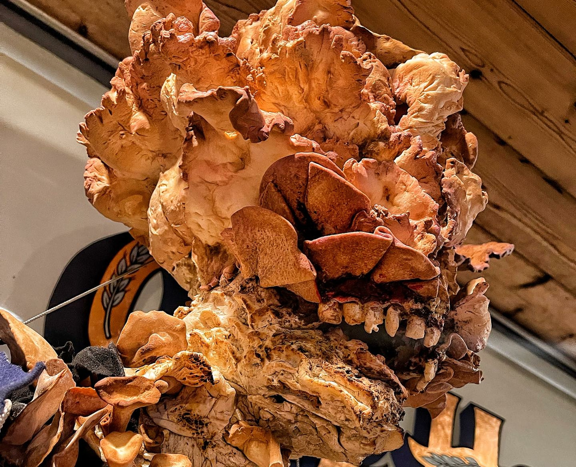 Bay Area's One House Bakery sculpts "Last of Us" zombie from bread