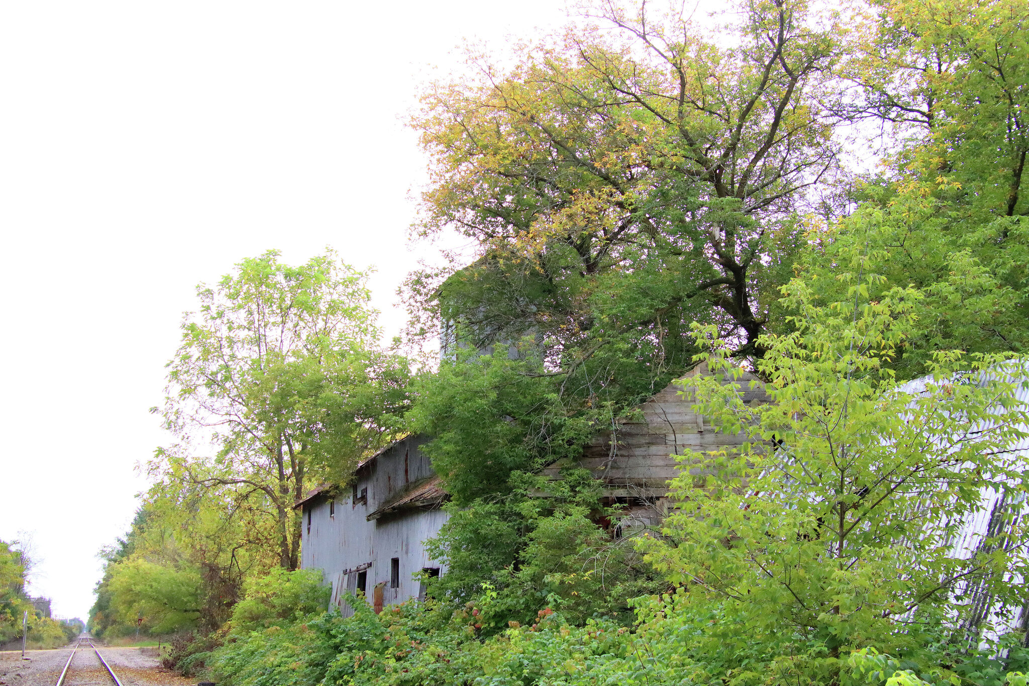 Tyre one of many ghost towns in Michigan's Thumb region