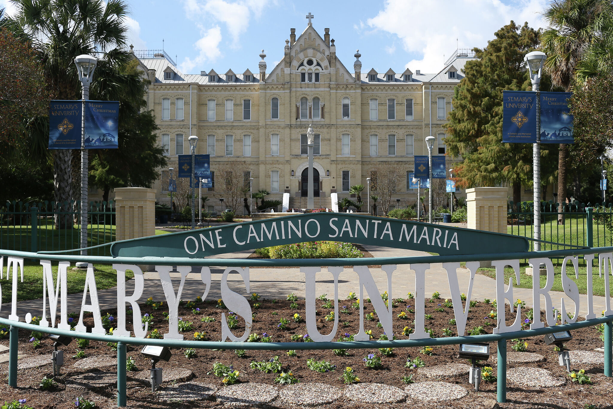 Stephen Sheppard, law prof accused of sex assault, reinstated