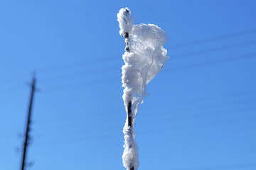 Mysterious web-like substance spotted all over California skies