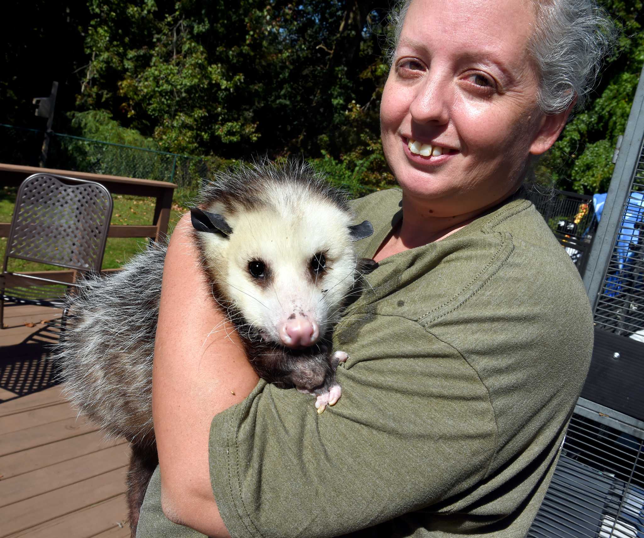 Shoreline animal rescuers seek vets for medical care for exotics
