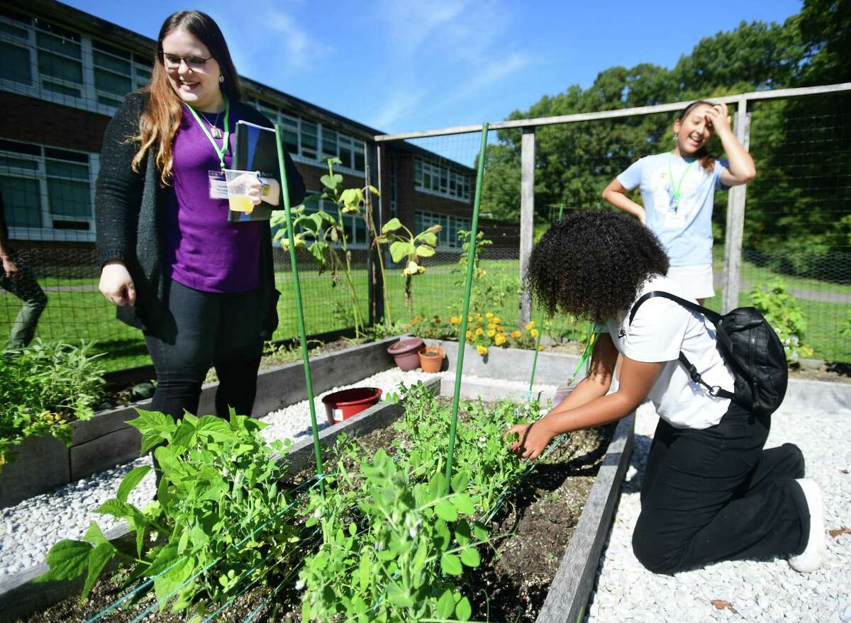 Norwalk Ponus Ridge students showcase farm-to-school produce