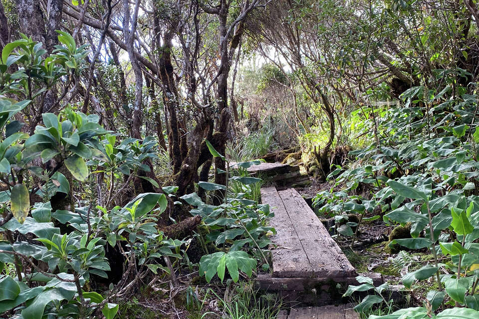 I attempted one of Hawaii’s wildest hikes. It was terrifying.