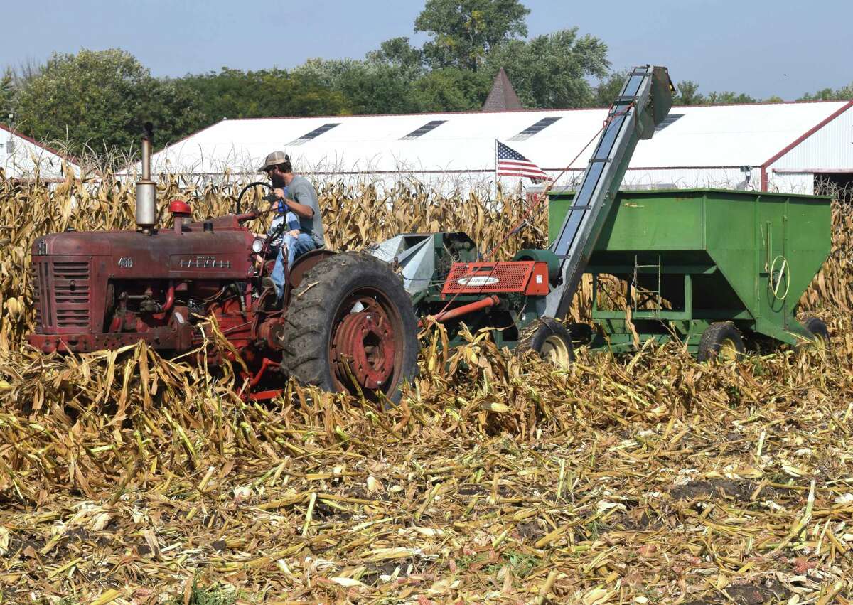 Old farming methods survive because of a dedicated few