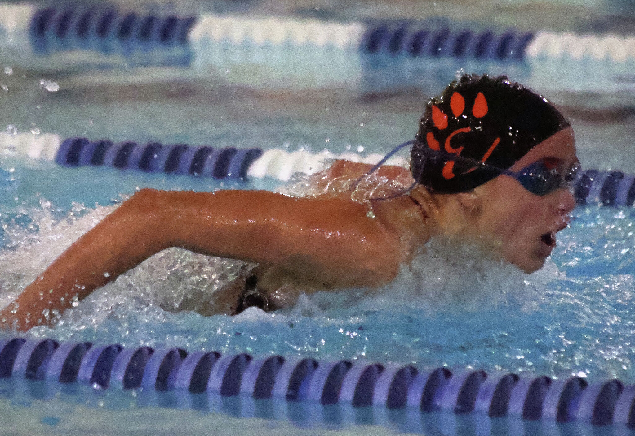 Tigers medal in four events at state swim meet