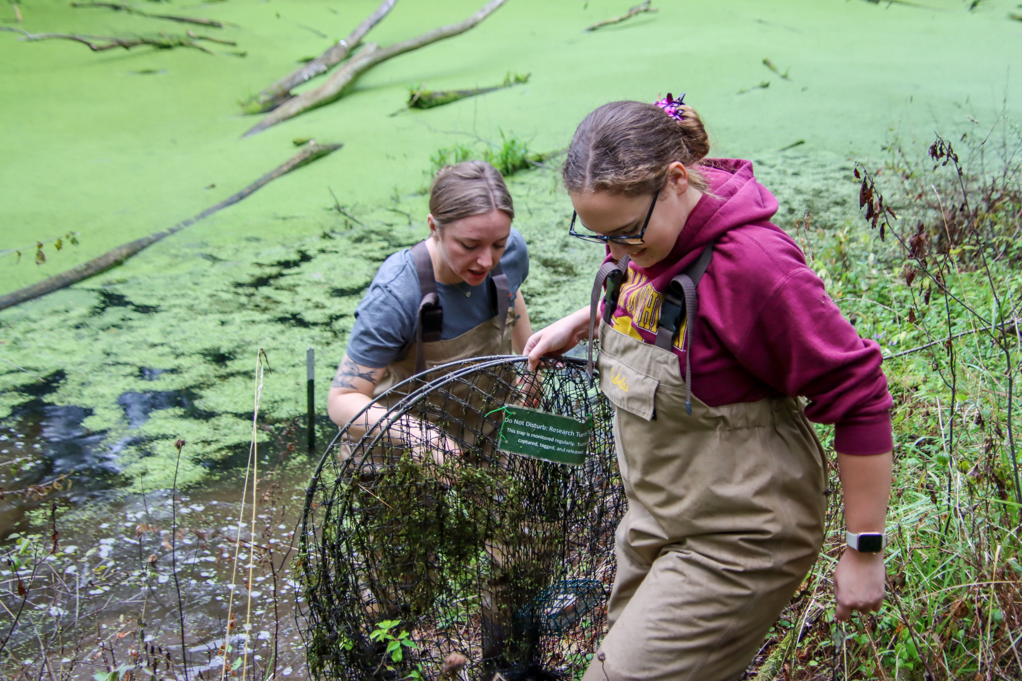 On the Job: Isabelle Pasciolla studies turtles at Nature Center