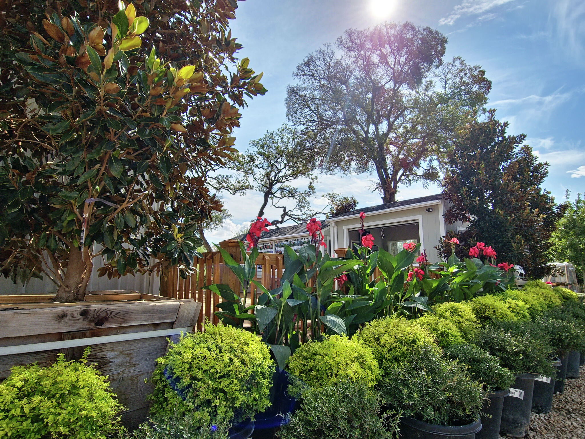 Moon Valley Nurseries opens first San Antonio location