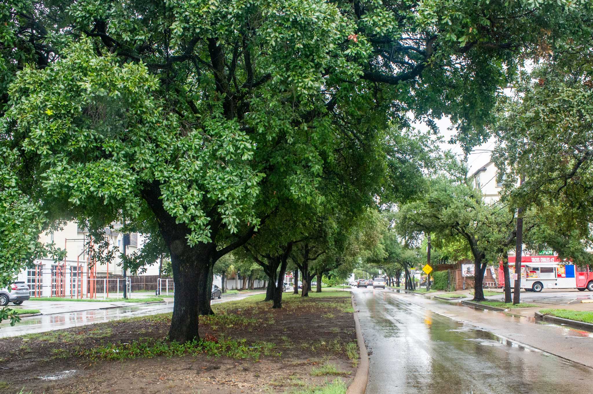 In Montrose sidewalk project, don't lose the forest for the trees (Opi