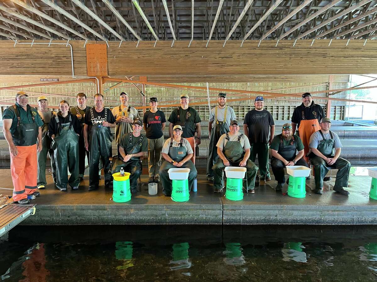 Michigan DNR asks anglers to report marked splake