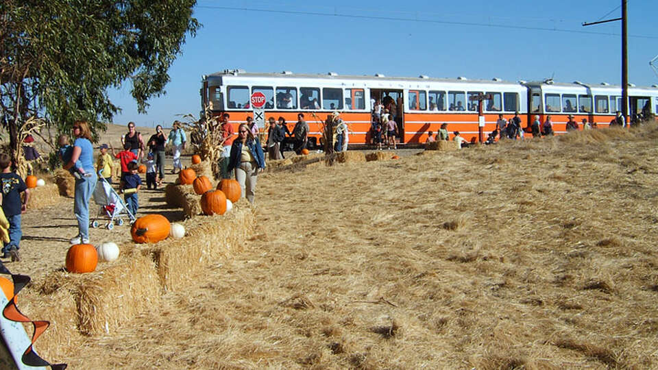 The best Bay Area pumpkin patches, hay rides, corn mazes and more