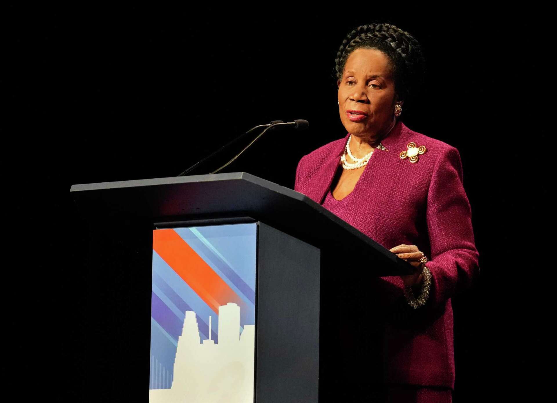 Jackson Lee campaign chairman Gerald Womack allegedly assaulted