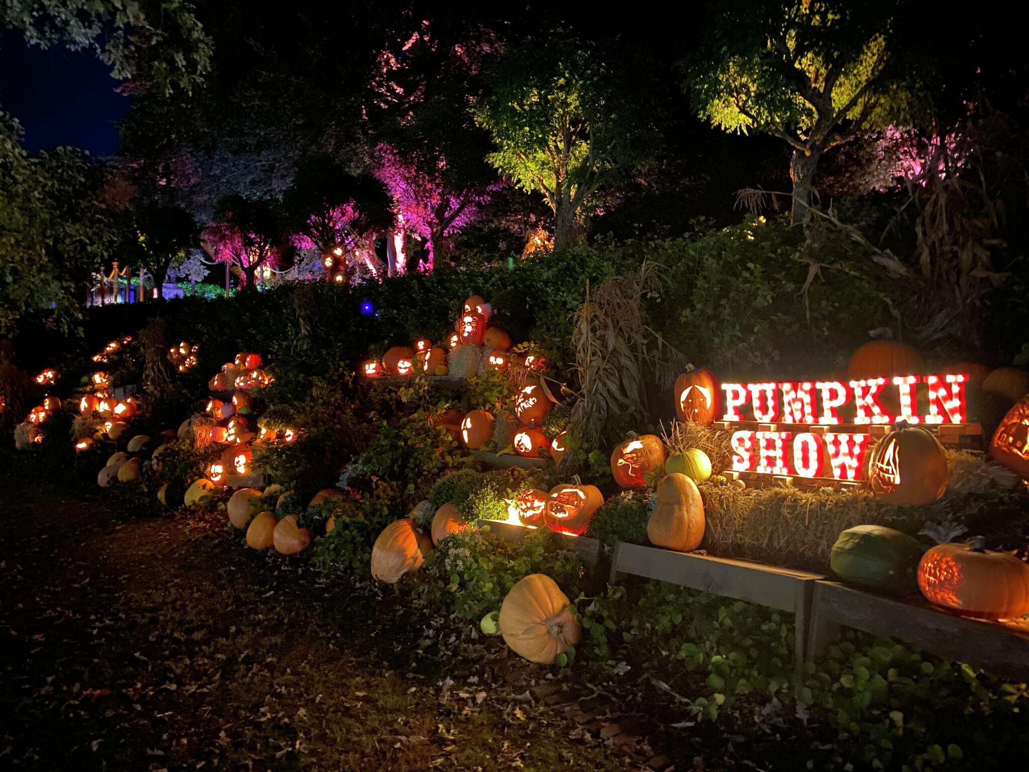 8 must-do fall activities in the Capital Region, Hudson Valley