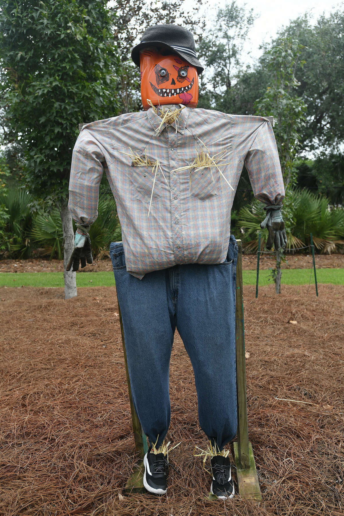 Nearly 80 scarecrows on display at Shangri La in Orange