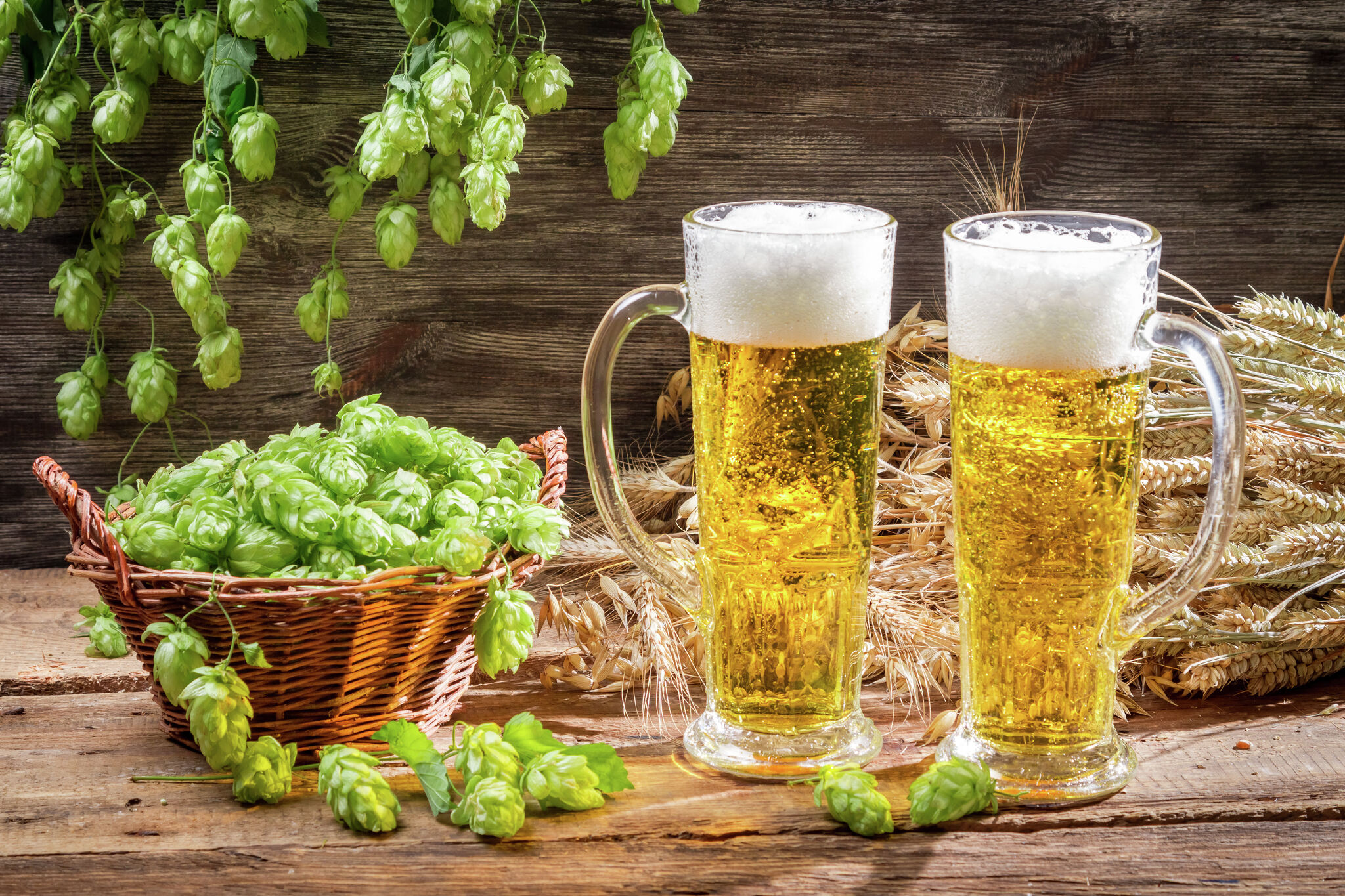 Like that cold beer? Global warming could change the way it tastes