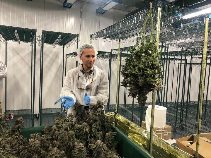 PharmaCann unveils $130M upgrades to Orange County cannabis site