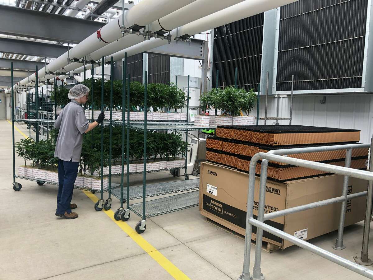 PharmaCann unveils $130M upgrades to Orange County cannabis site