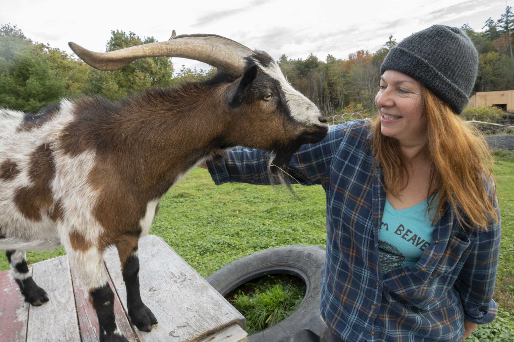 Red Robin Song provides sanctuary to rescued animals