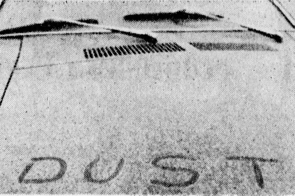 This Calif. city's exotic bird population exploded after aviary escape