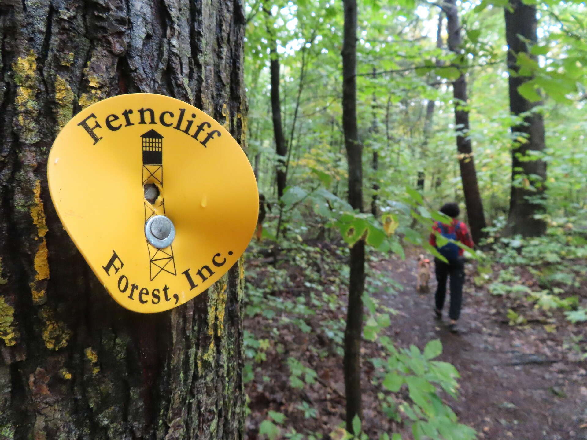 Ferncliff Forest hike an adventure worth sharing