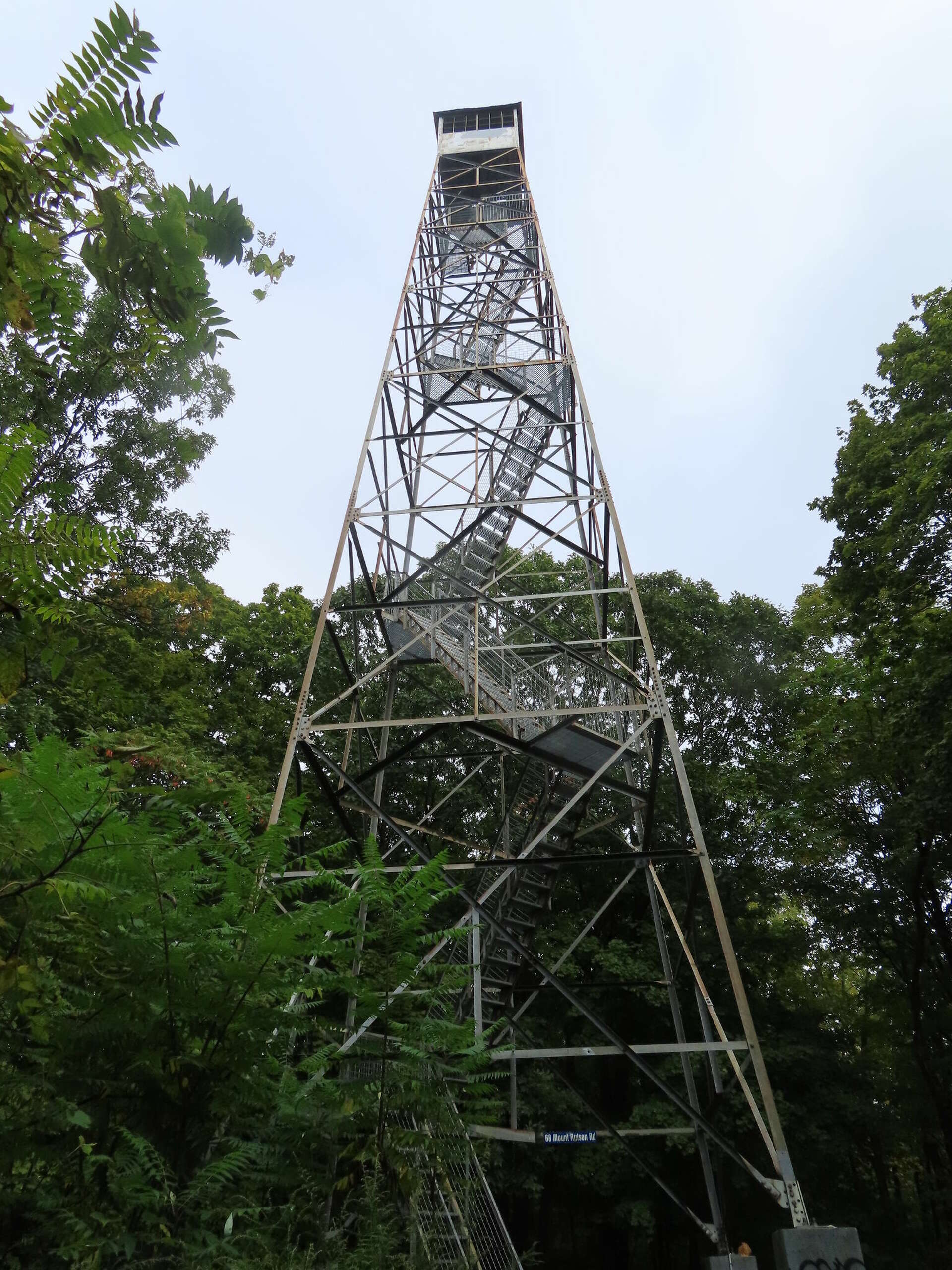 Ferncliff Forest hike an adventure worth sharing