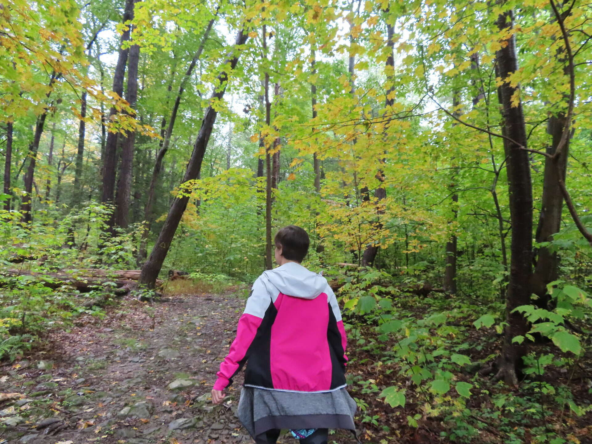 Ferncliff Forest hike an adventure worth sharing