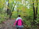 Ferncliff Forest hike an adventure worth sharing