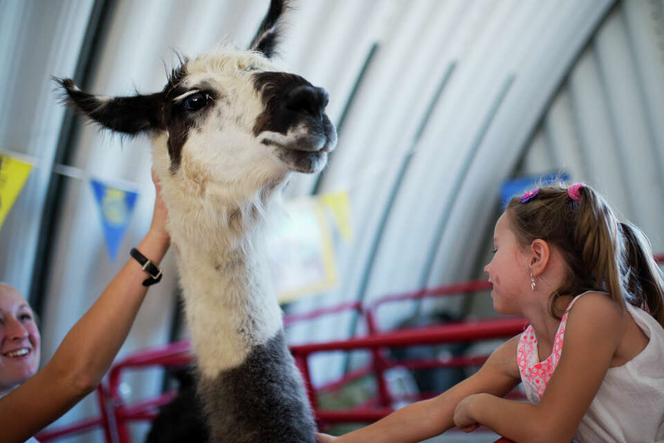 The 20 Best State Fairs in the U.S.