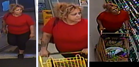 Woman flashes gun instead of paying for goods at Dollar General