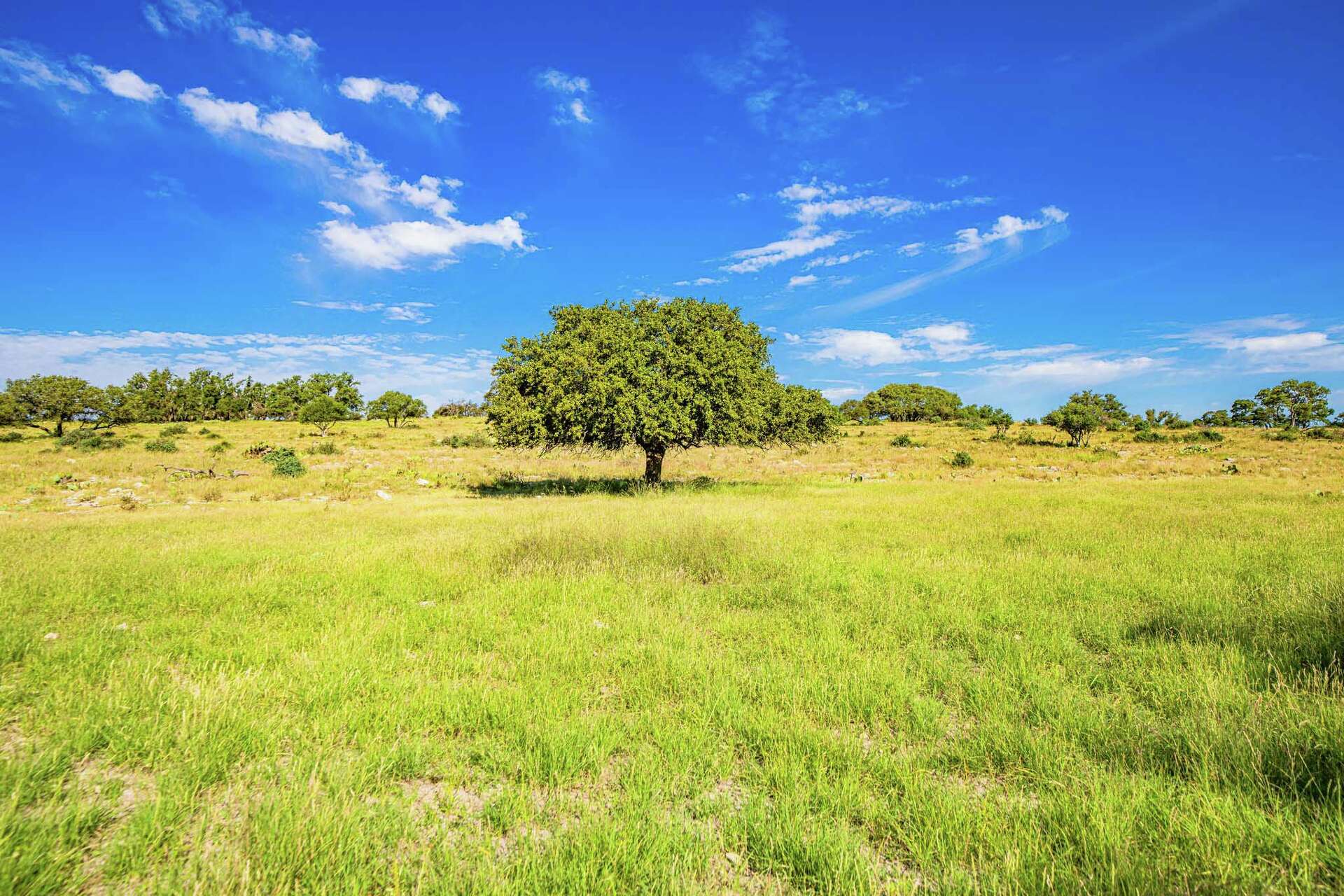 Massive Texas Hill Country hunting ranch hits market for $20M