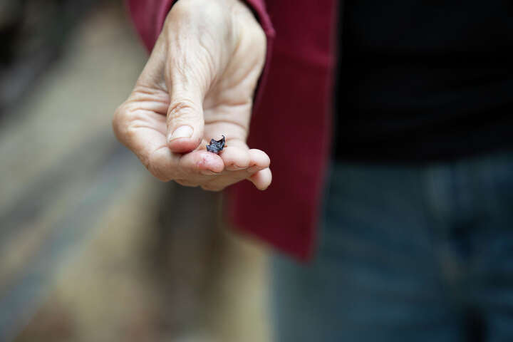 Sparkling wine pioneer creates boutique winery in Calistoga