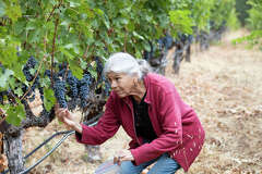 Sparkling wine pioneer creates boutique winery in Calistoga