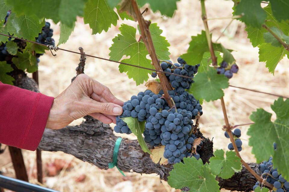 Sparkling wine pioneer creates boutique winery in Calistoga