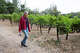 Sparkling wine pioneer creates boutique winery in Calistoga
