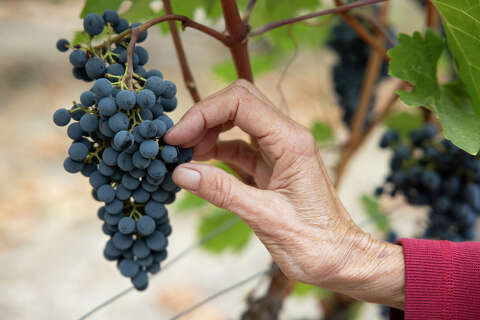 Sparkling wine pioneer creates boutique winery in Calistoga