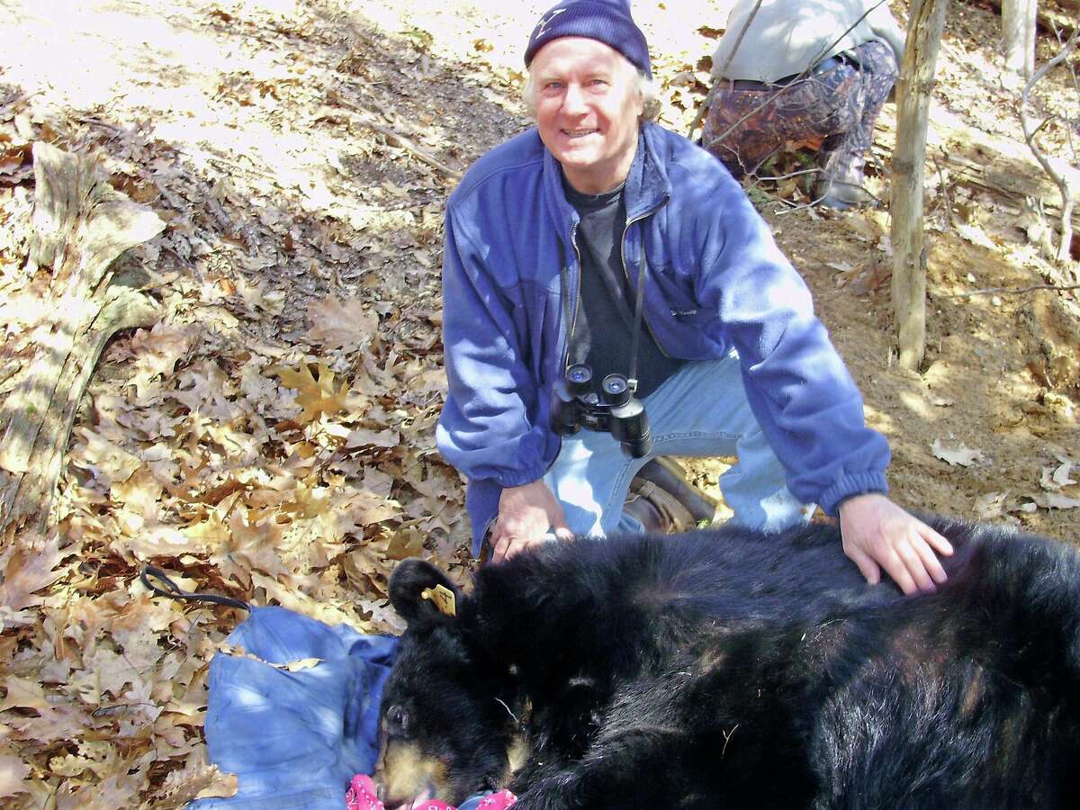 Joining a CT DEEP survey team to track black bears