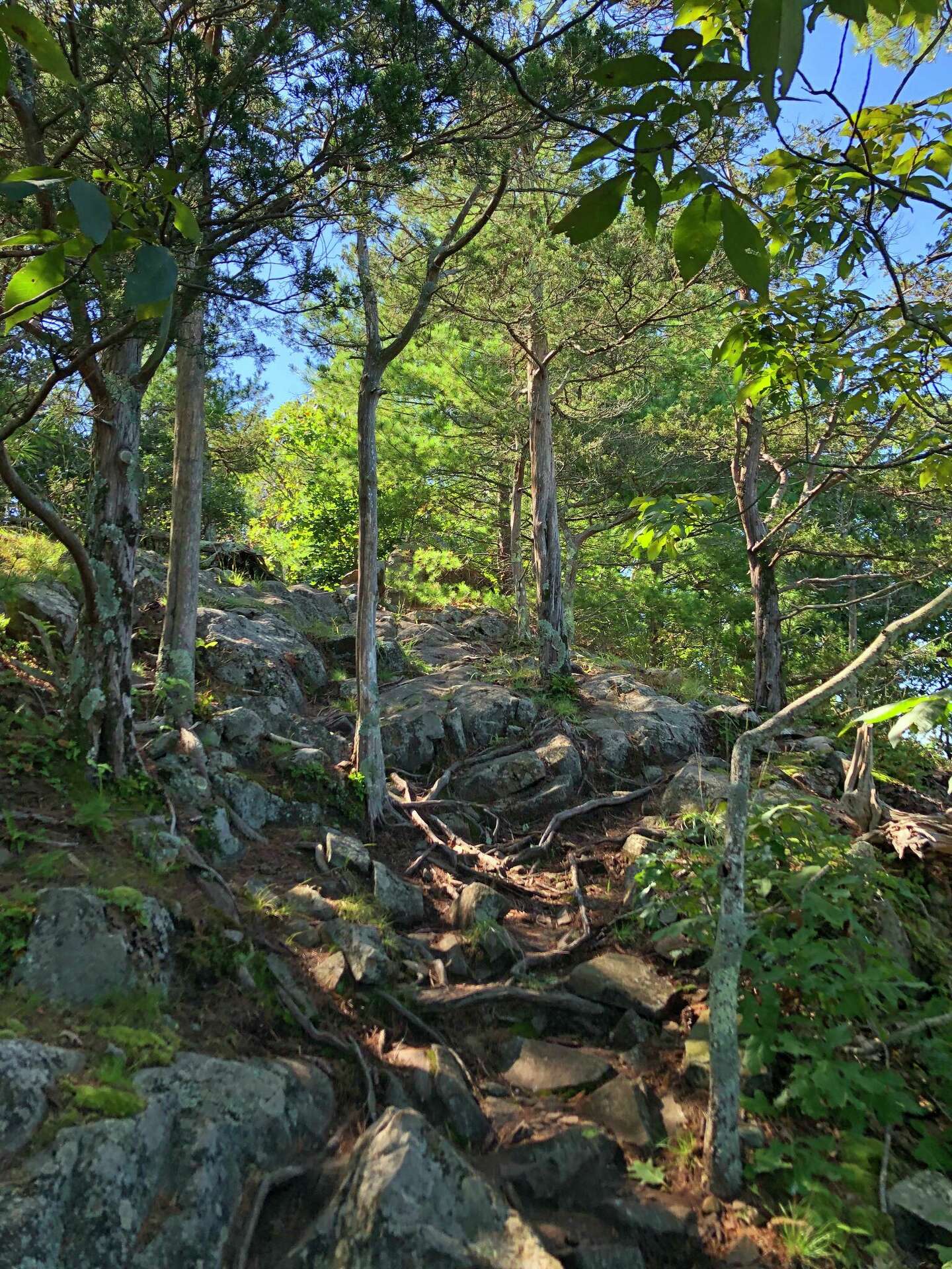 Hiking Simsbury CT's West Mountain: Rugged paths, stunning views