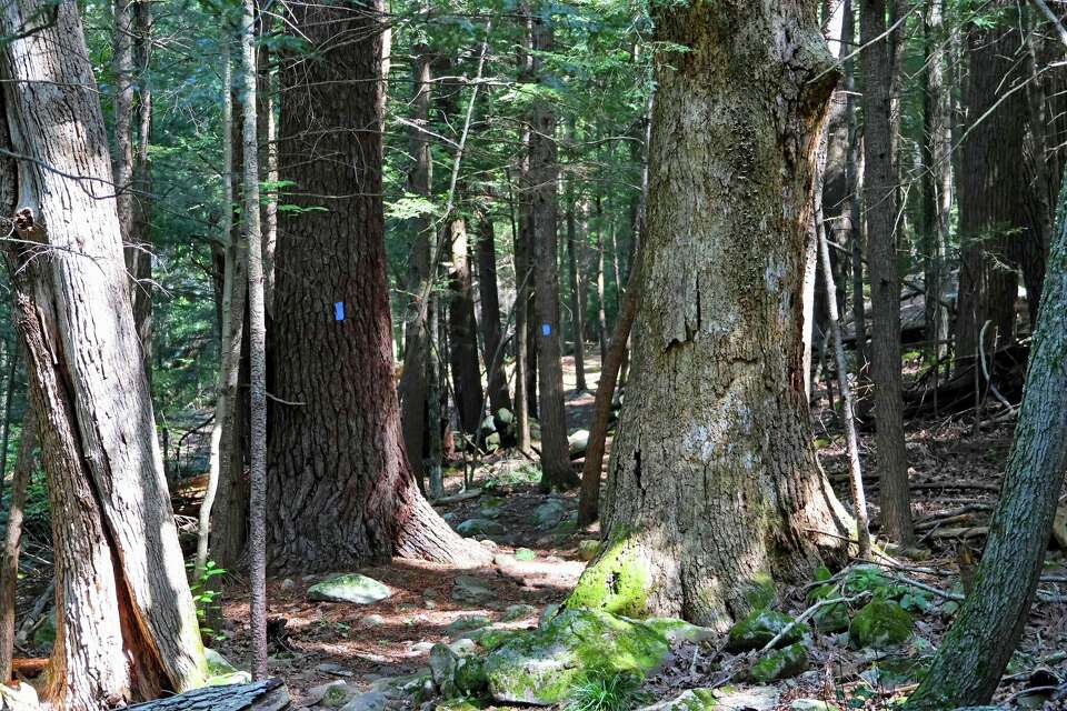 Hiking Simsbury CT's West Mountain: Rugged paths, stunning views