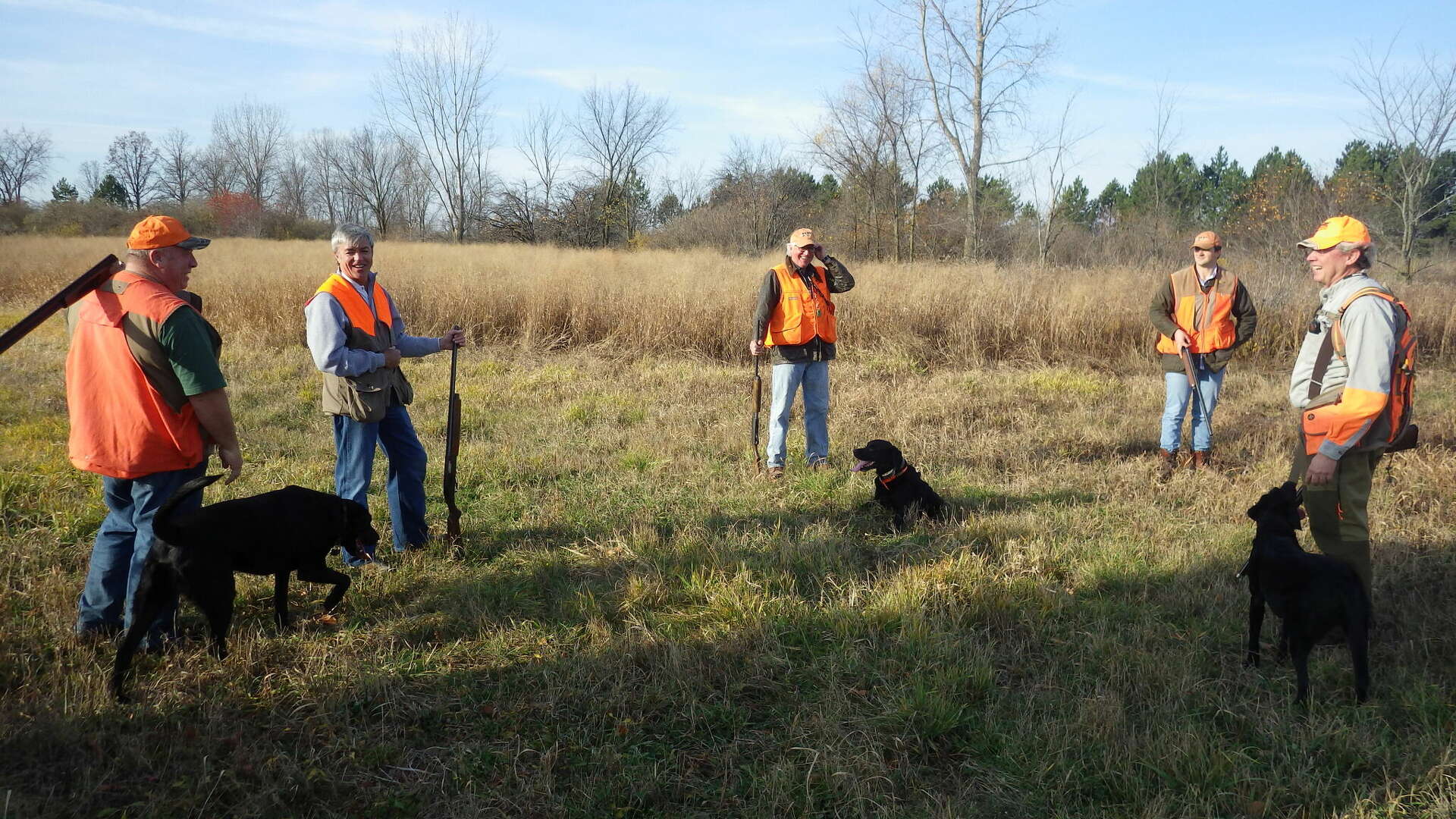 Pheasant hunting has been an official Michigan tradition for 98 years